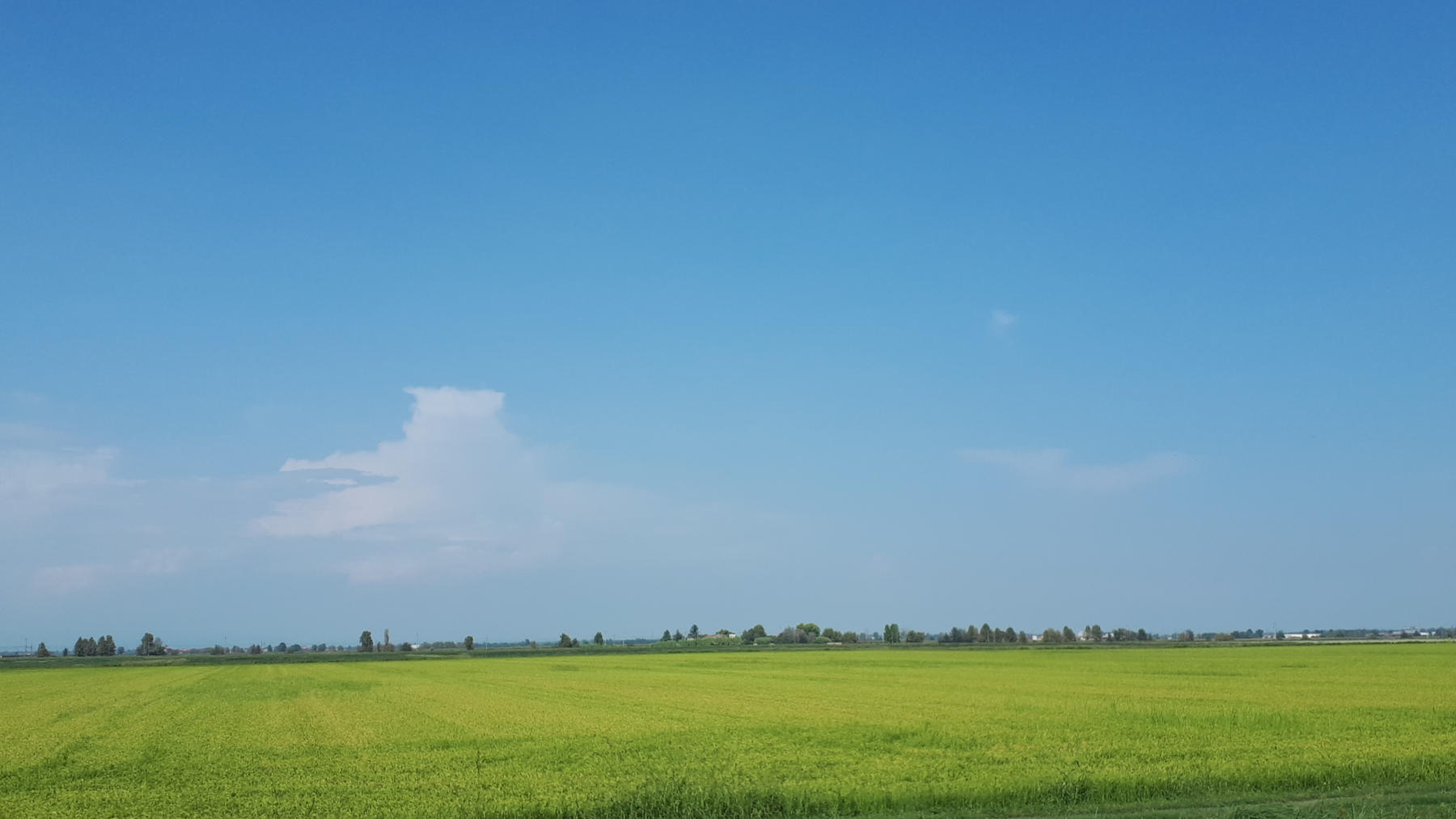 Motorhome tour goes on through Piedmont rice fields of Vercelli & Novara